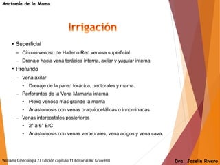 Anatomia de las mamas. | PPTX