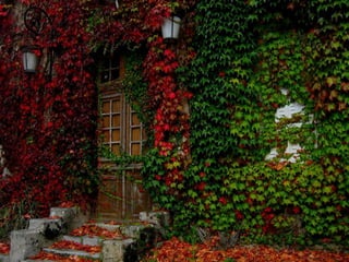 Mama Lor La Toti !! | PPSX