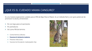Mama canguro | PPTX