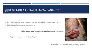 Mama canguro | PPTX