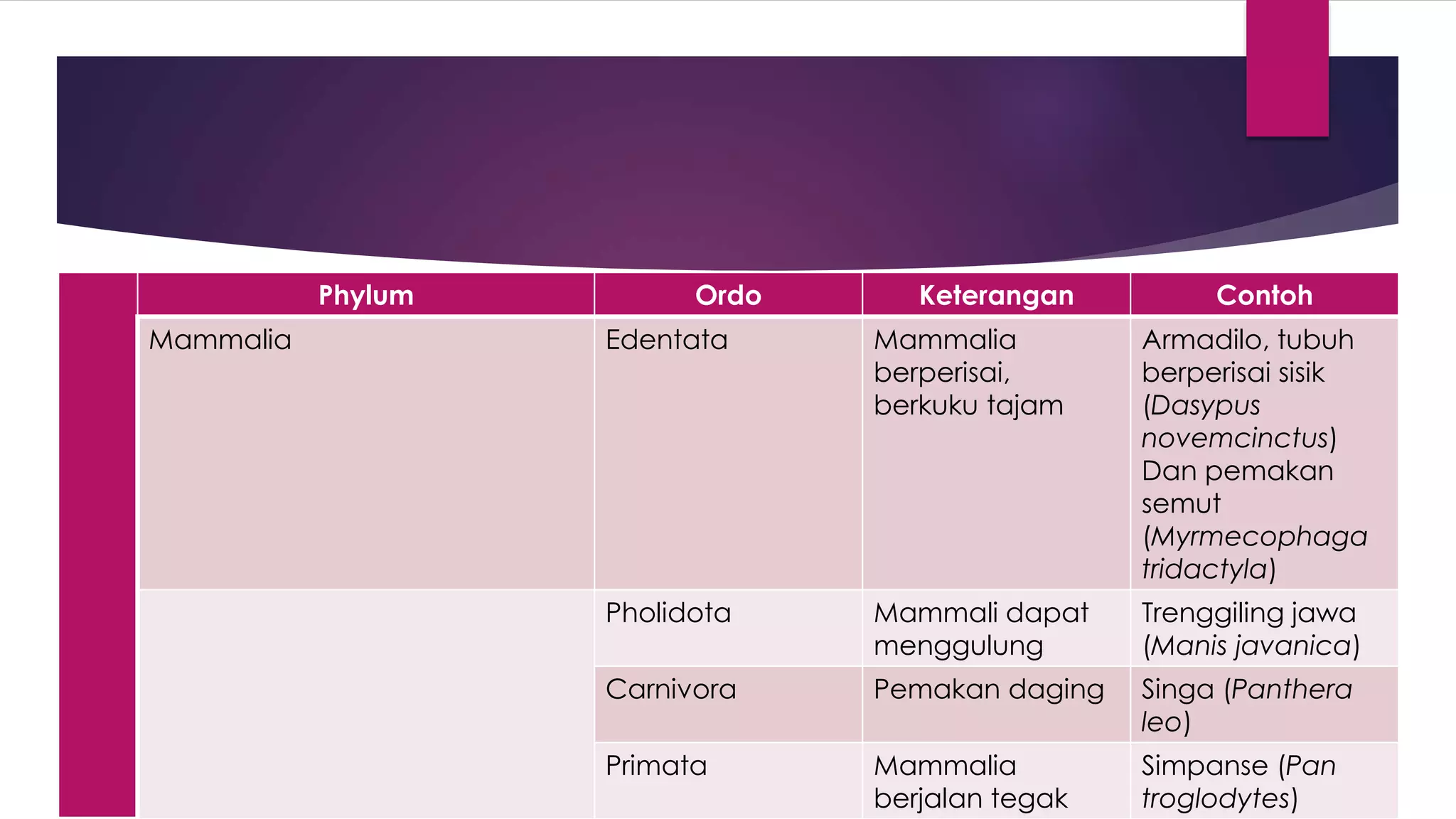 Mamalia Presentasi Biologi | PPT