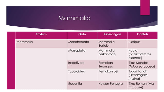 Mamalia Presentasi Biologi | PPT