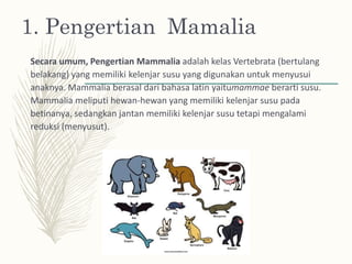 Mamalia | PPTX