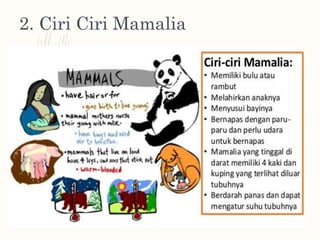 Mamalia | PPTX