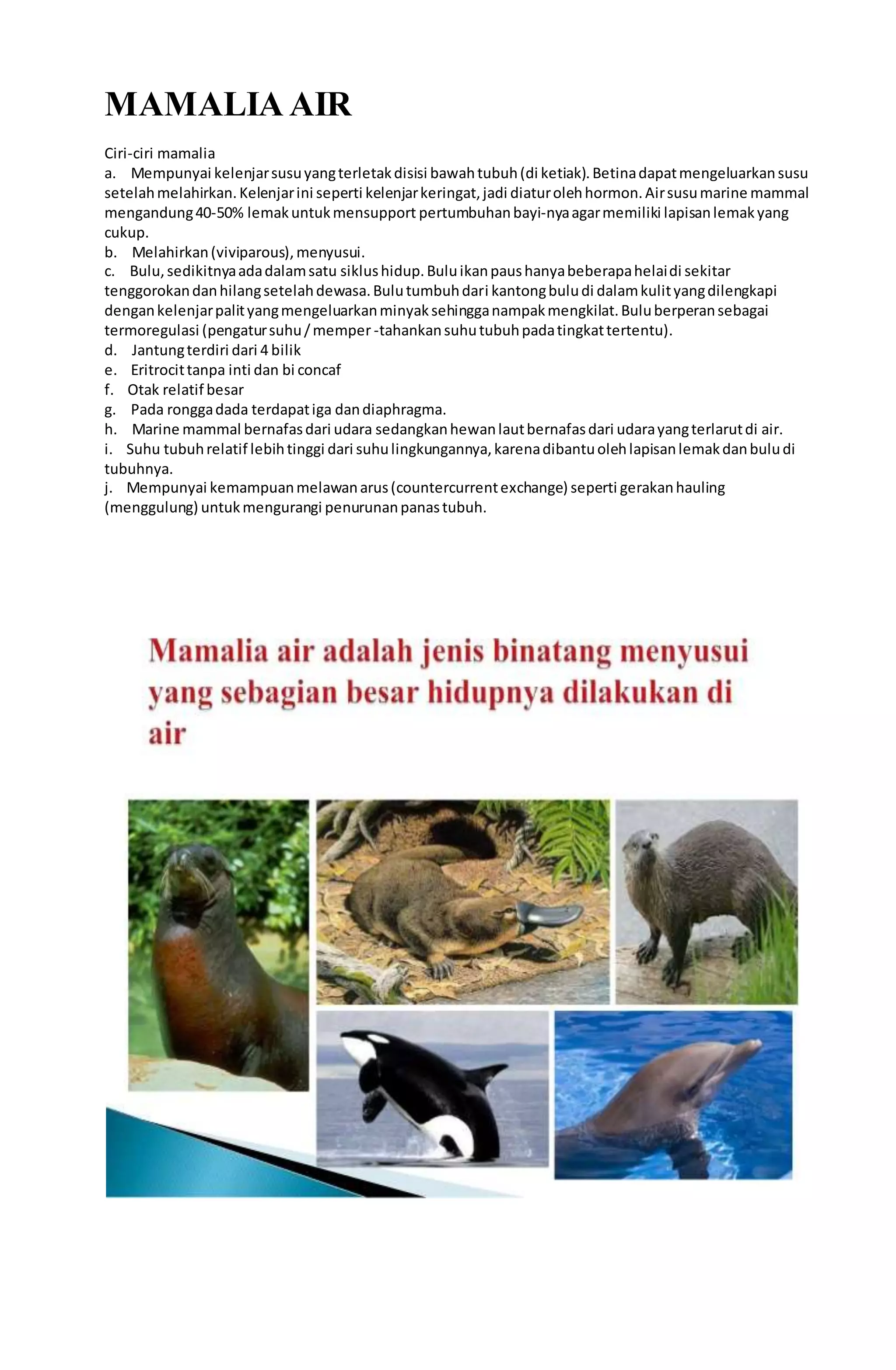 Mamalia air | DOCX
