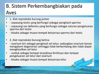 Mamalia dan aves | PPTX