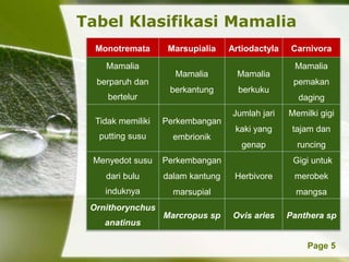 Mamalia & Pisces | PPTX