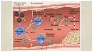 mamalıq2 Kazım.pptx slayd haqqında məlumat | PPT