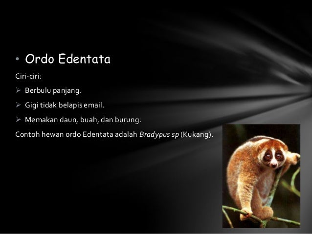 Erna Natasya Latuputty: Zoologi Vertebrata "Mamalia"