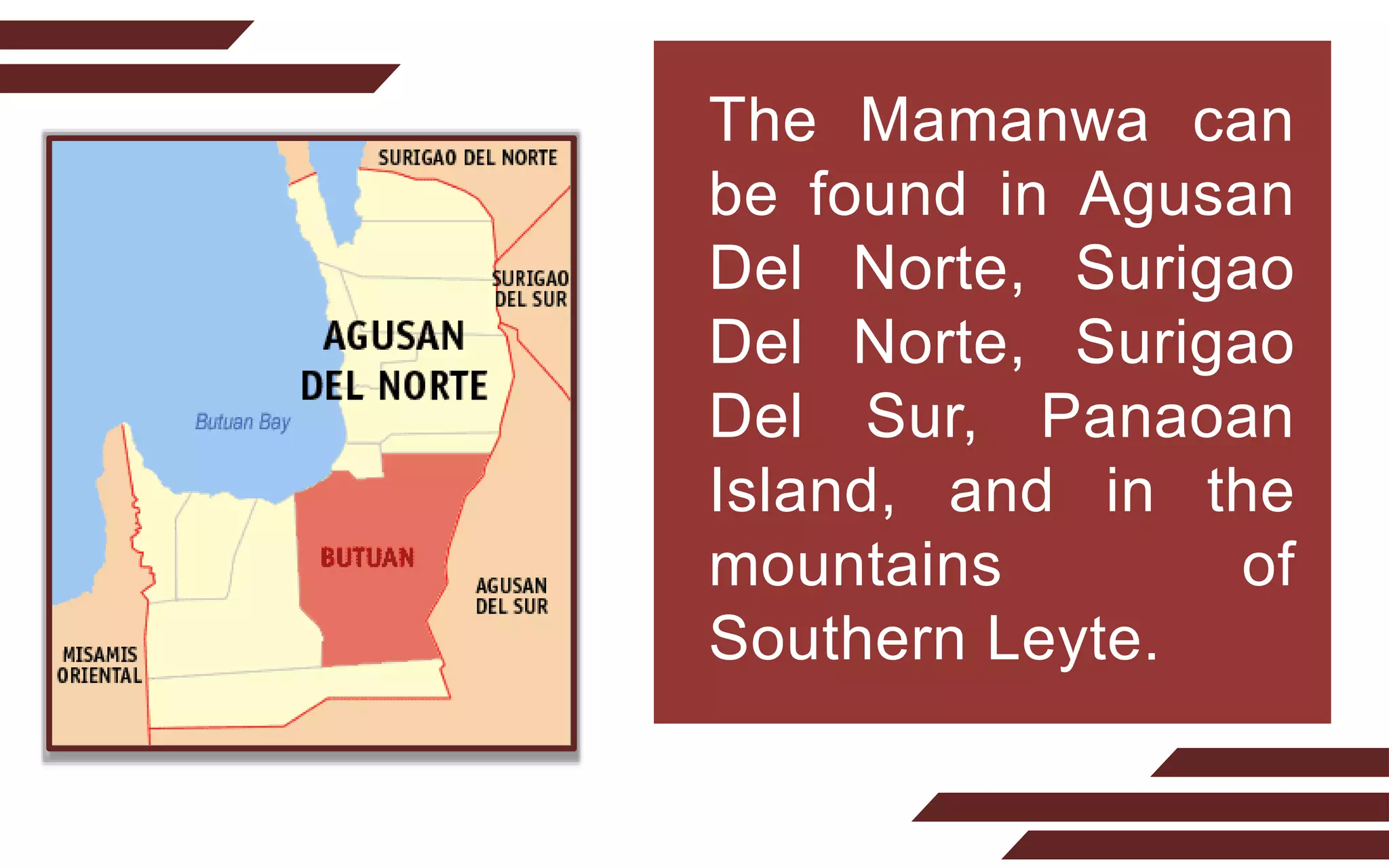 Mamanwa Tribe | PDF