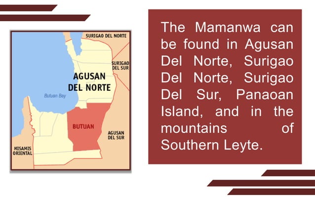 Mamanwa Tribe | PDF | Birth | Personal Celebrations & Life Events