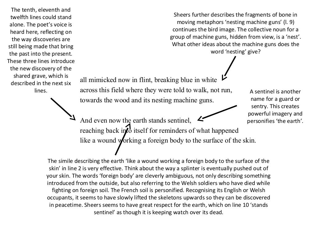 Mametz Wood by Owen Sheers