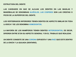INTRODUCCION AL GRUPO DE MAMÍFEROS 1.pdf