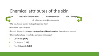 microbial ecology of human skin | PPTX