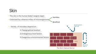 microbial ecology of human skin | PPTX