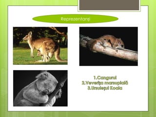 Mamiferele | PPTX