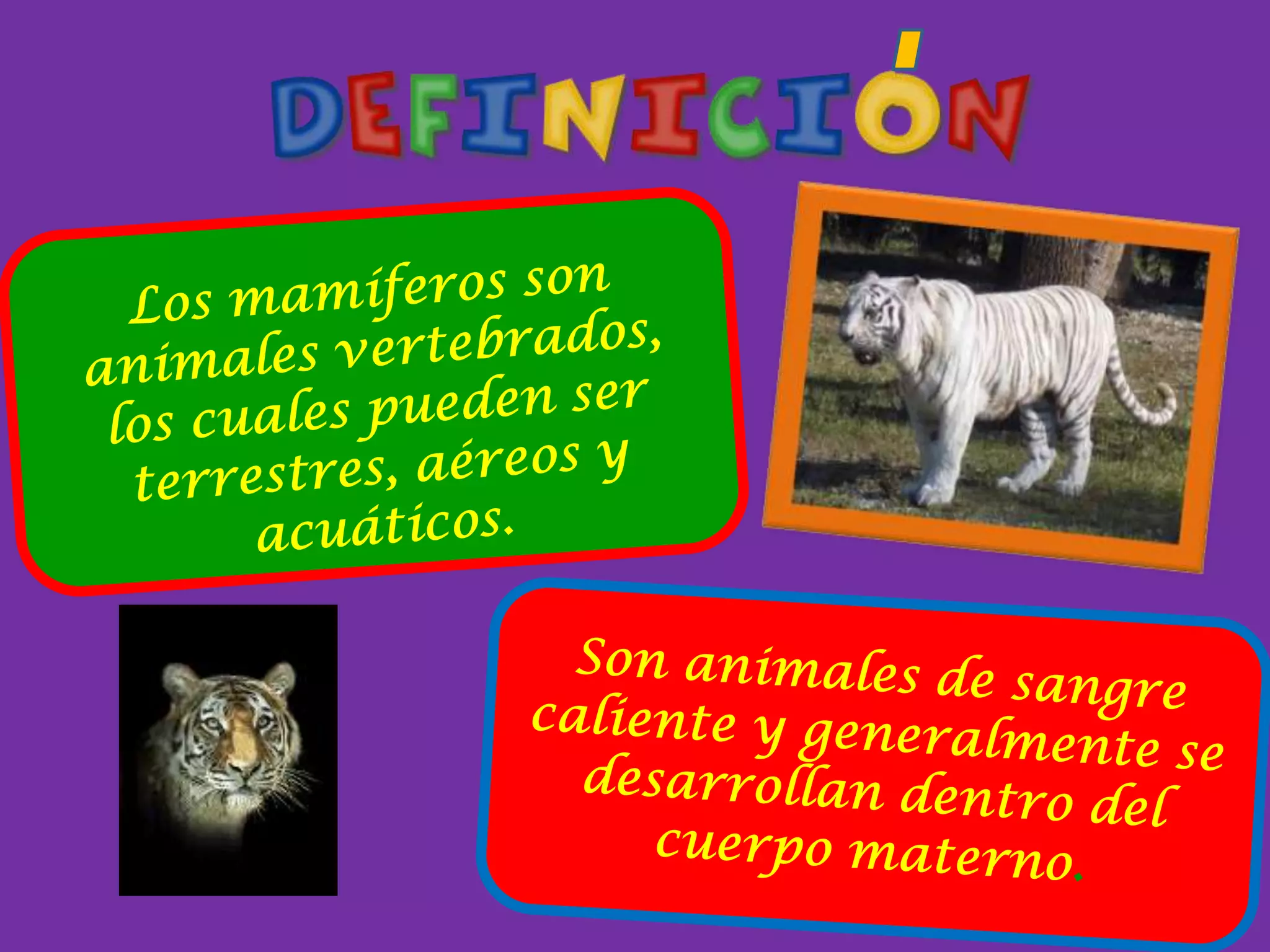 Mamiferos | PPT