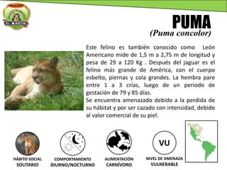 Mamiferos del Ecozoologico San martín en Ecuador - South America | PPTX