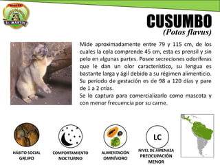 Mamiferos del Ecozoologico San martín en Ecuador - South America | PPTX