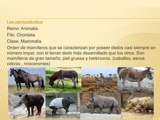 mamíferos y su ecosistema y estructura celular | PDF