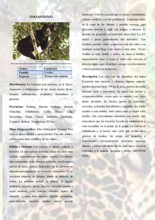 Mamiferos del Ecuador | DOCX