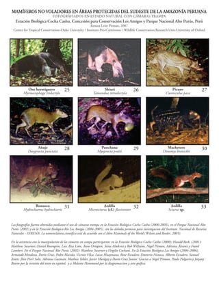 Mamiferos madre de dios peru | PDF