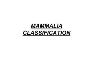Mammalia classification by deepak rawal | PPTX | Biological Sciences | Science