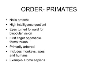 Mammalia classification by deepak rawal | PPTX | Biological Sciences | Science
