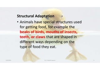 Mammalian adaptation | PPT