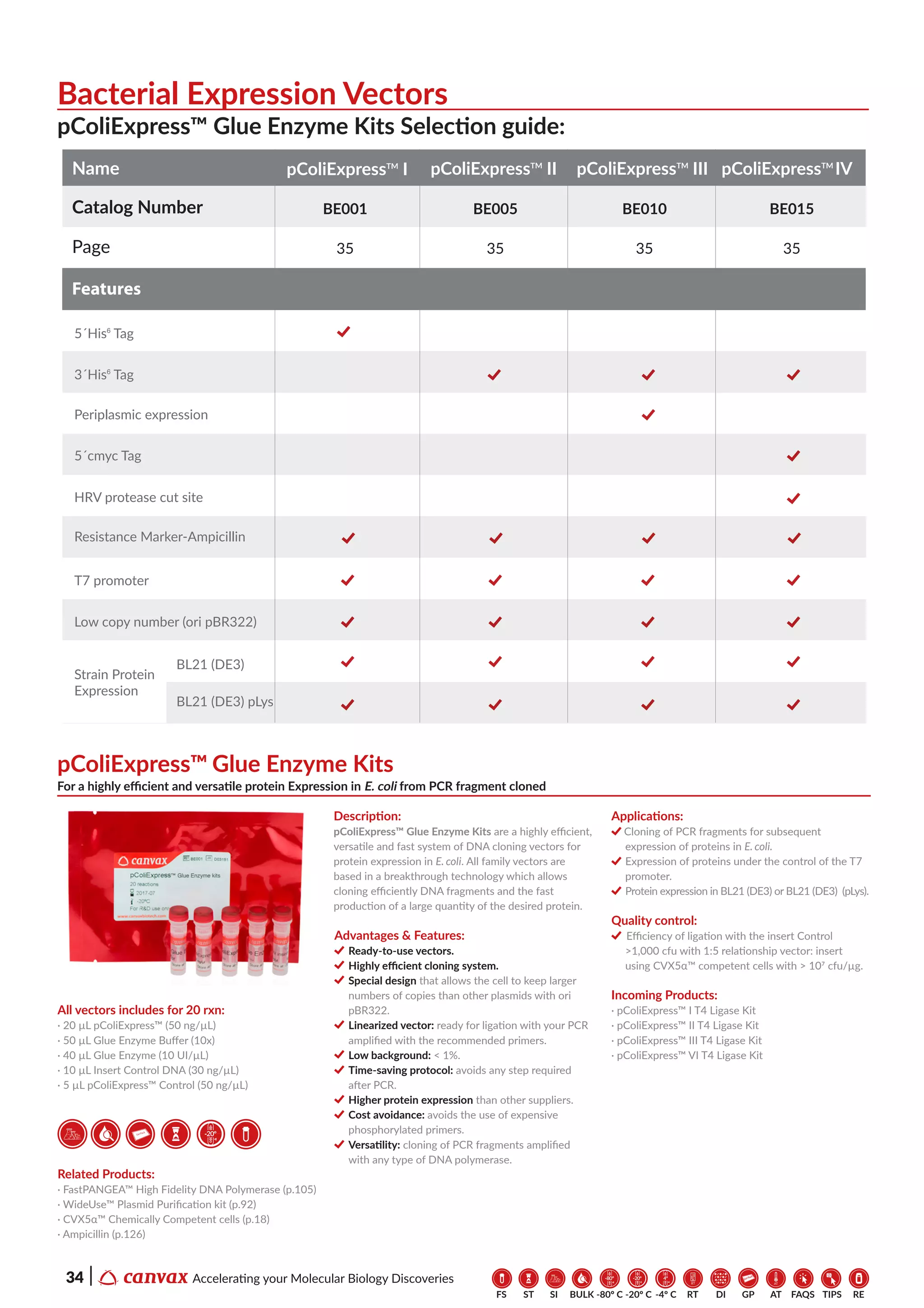 Mammalian & Bacterial Expression | PDF