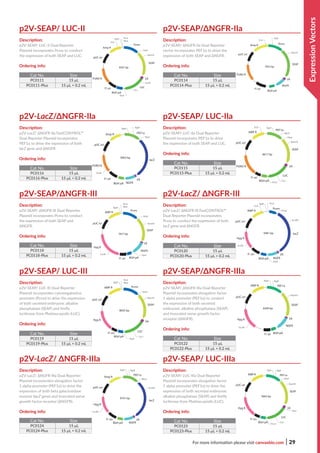 Mammalian & Bacterial Expression | PDF