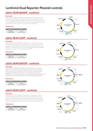 Mammalian & Bacterial Expression | PDF