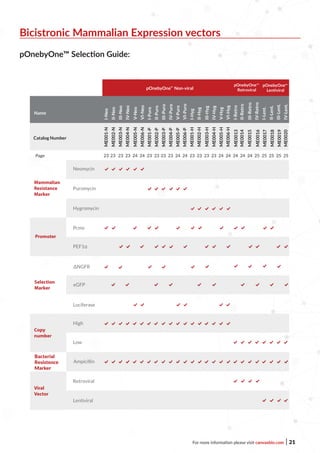 Mammalian & Bacterial Expression | PDF