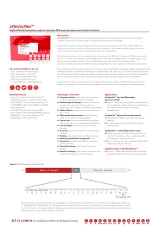 Mammalian & Bacterial Expression | PDF