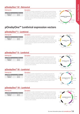 Mammalian & Bacterial Expression | PDF