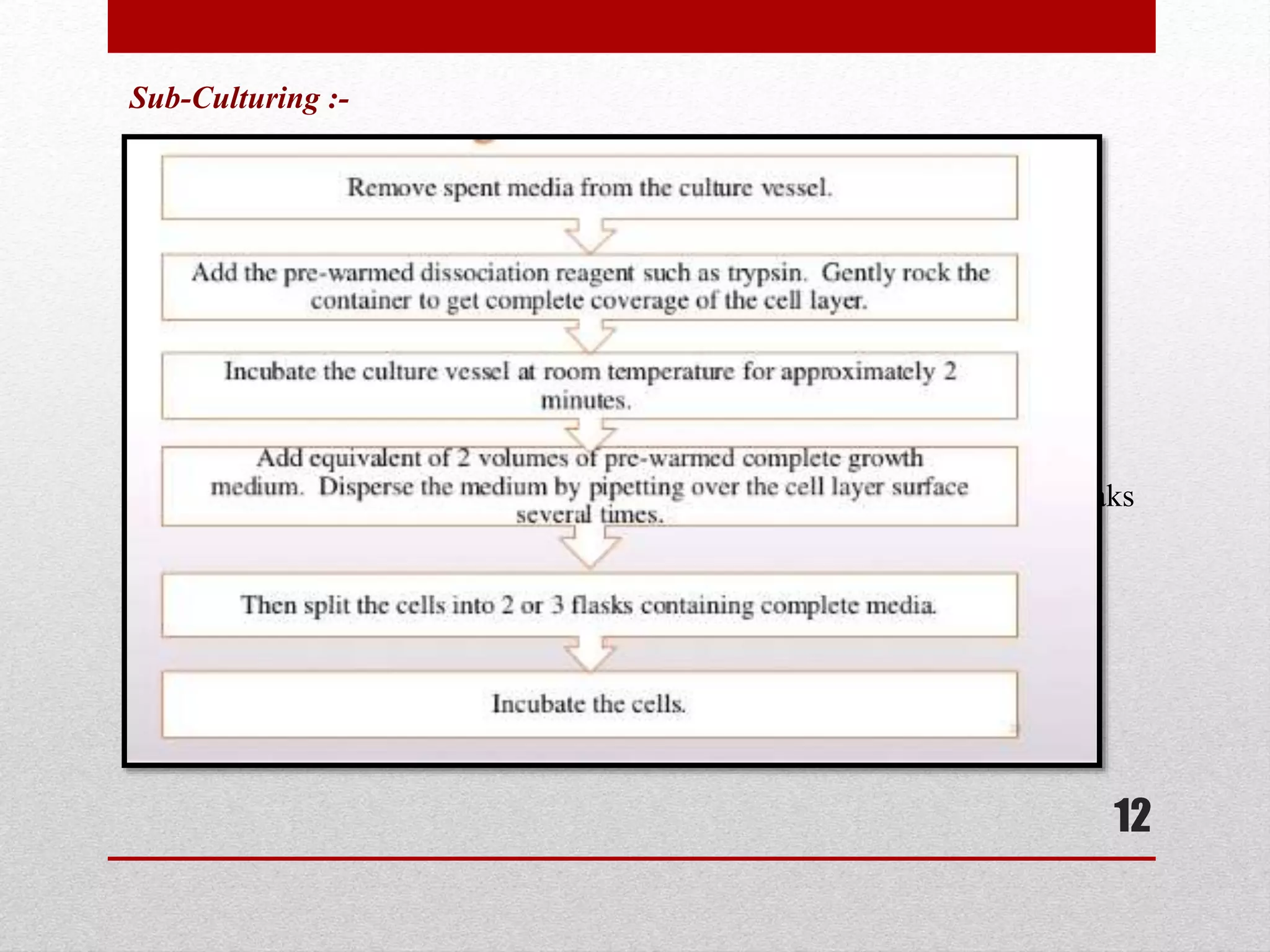 Mammalian cell culture, basic techniques | PPTX