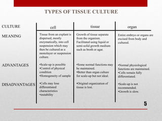 Mammalian cell culture, basic techniques | PPTX