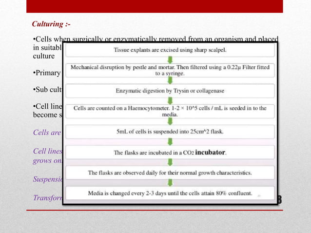 Mammalian cell culture, basic techniques | PPTX