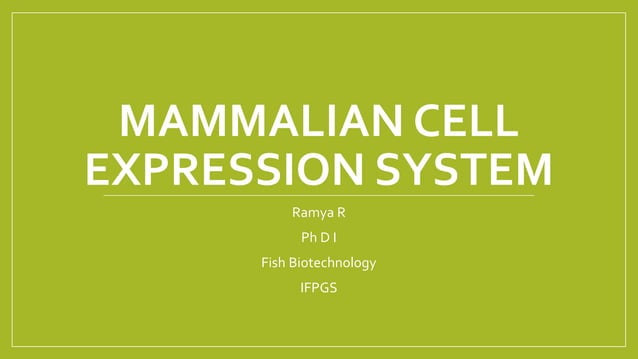 Mammalian cell expression system | PPTX | Programming Languages | Computing