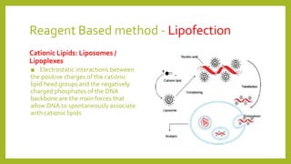 Mammalian cell expression system | PPTX