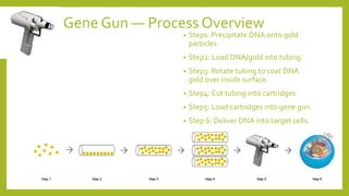 Mammalian cell expression system | PPTX