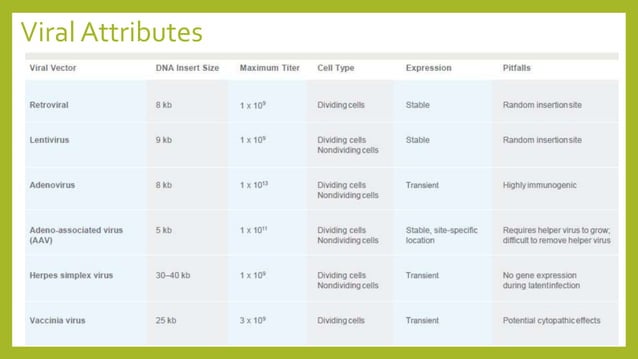 Mammalian cell expression system | PPTX | Programming Languages | Computing