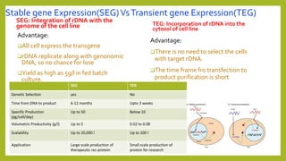 Mammalian cell expression system | PPTX