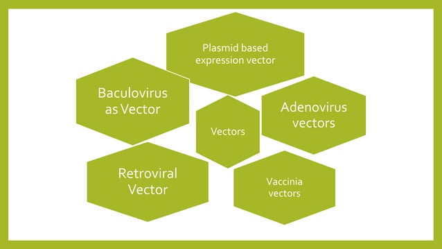 Mammalian cell expression system | PPTX | Programming Languages | Computing