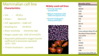 Mammalian cell expression system | PPT