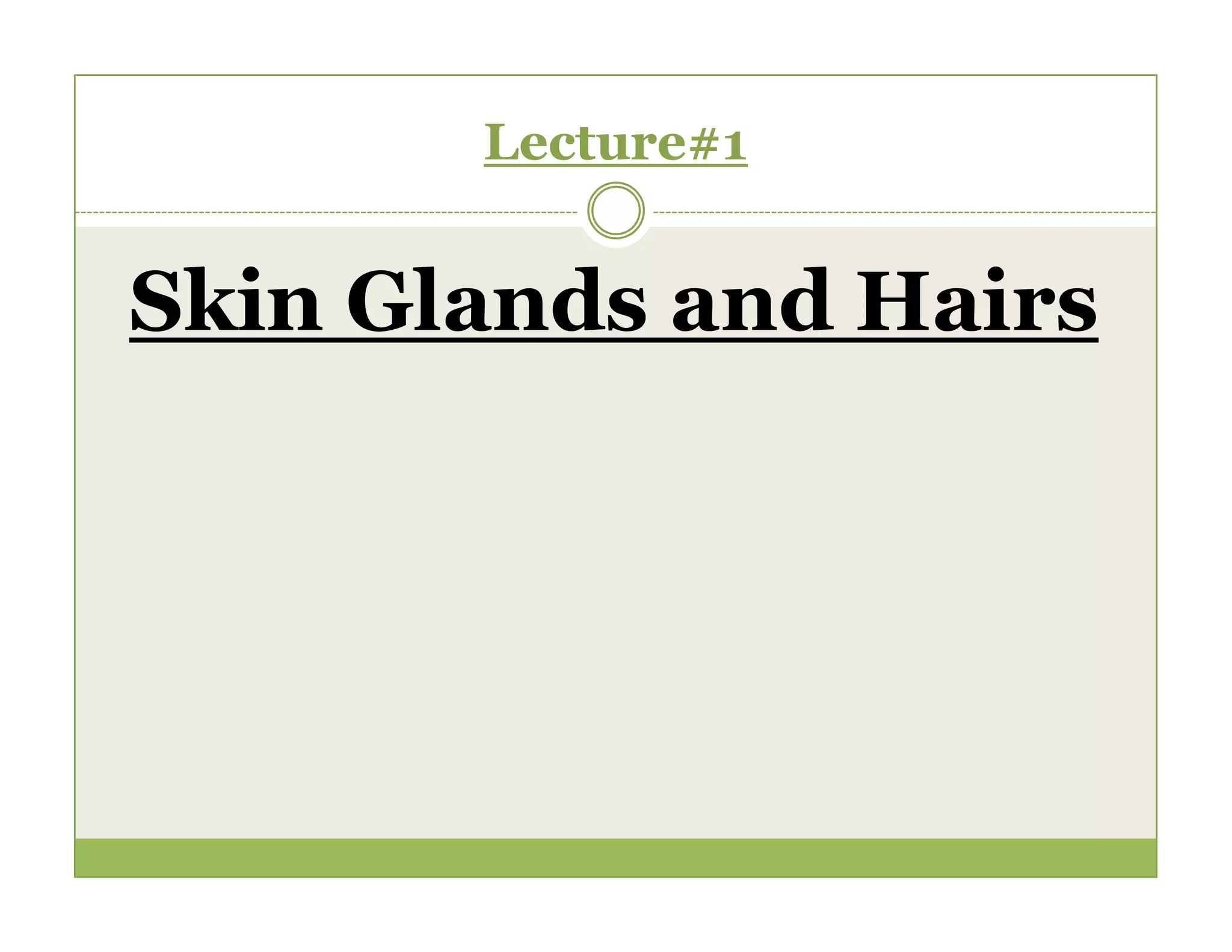 General Characteristics of Mammals | PDF