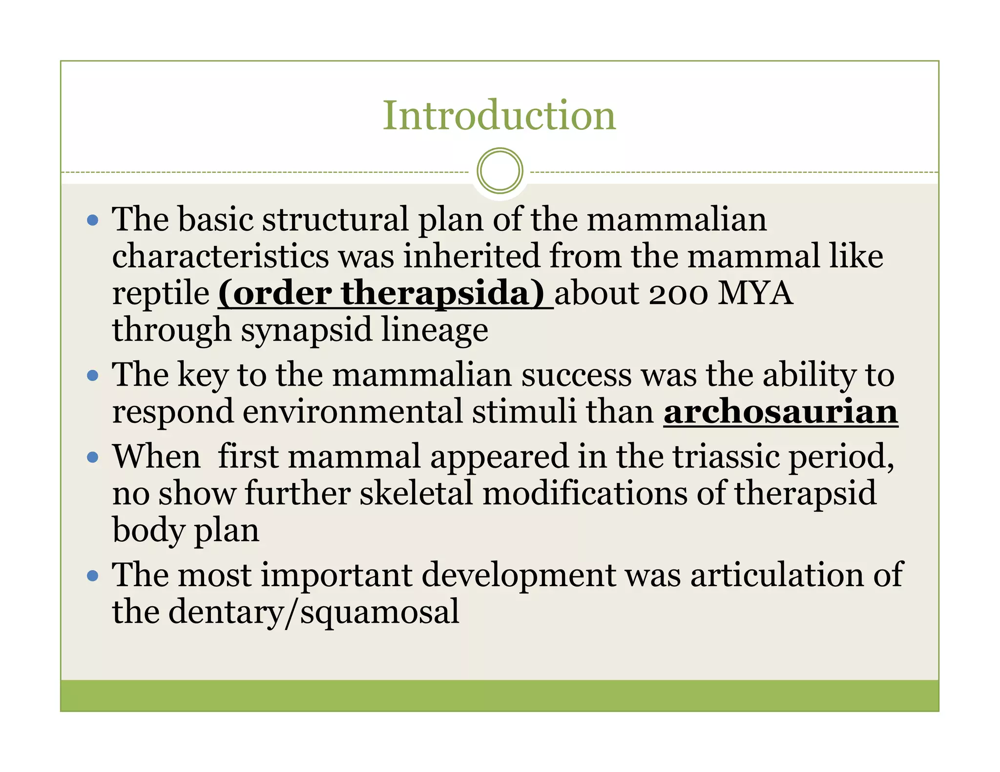 General Characteristics of Mammals | PDF