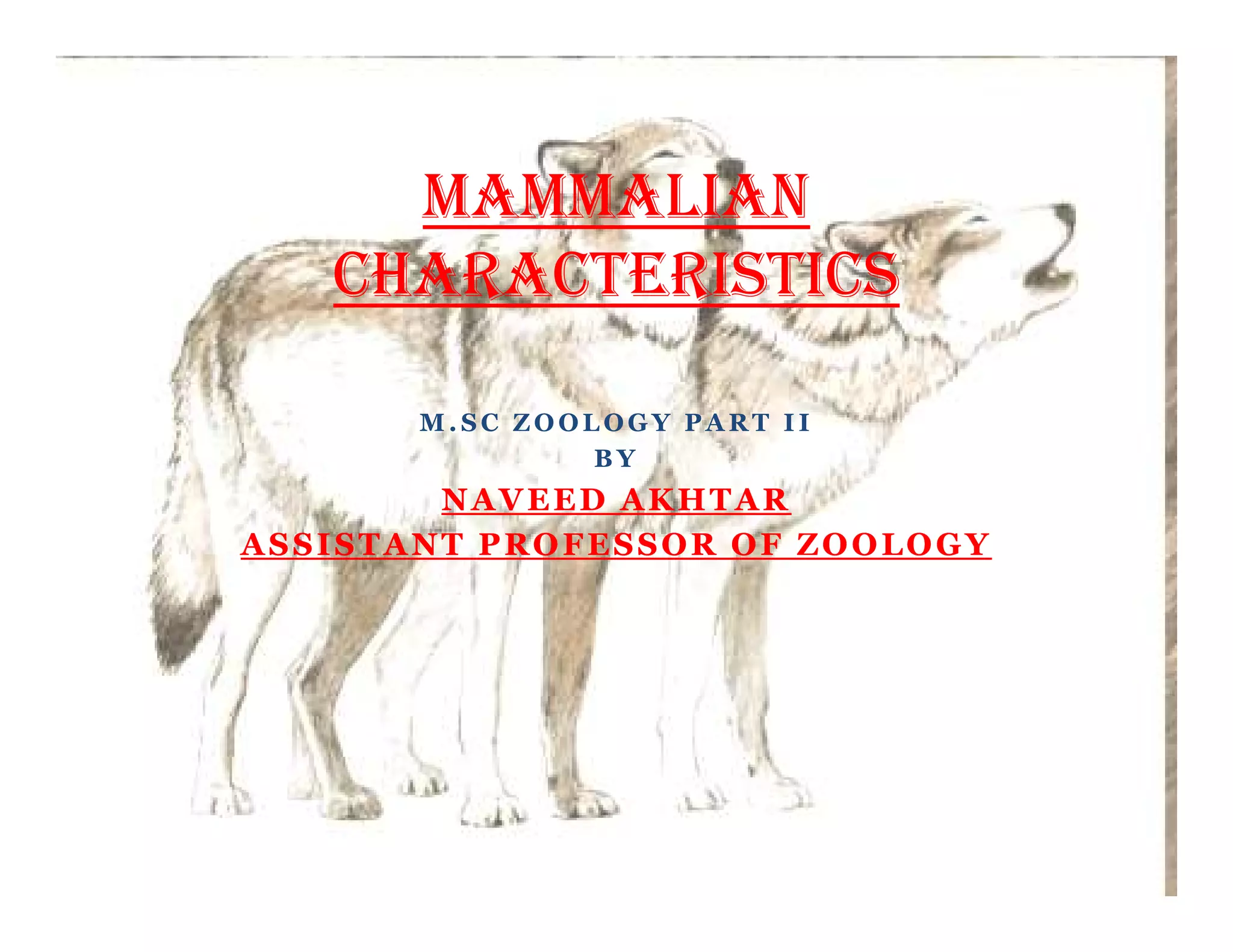 Mammalian Characteristics | PDF