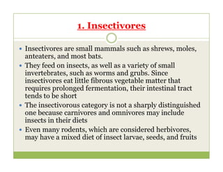 Mammalian Characteristics | PPT