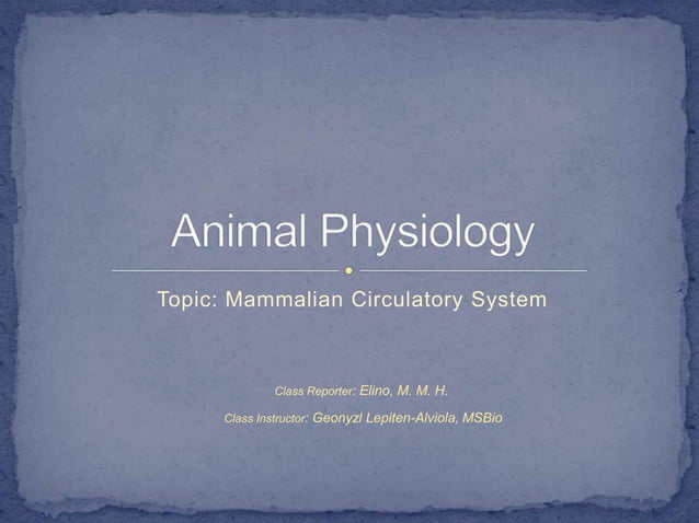 Mammalian Circulatory system | PPT | Heart and Cardiovascular Diseases | Diseases and Conditions